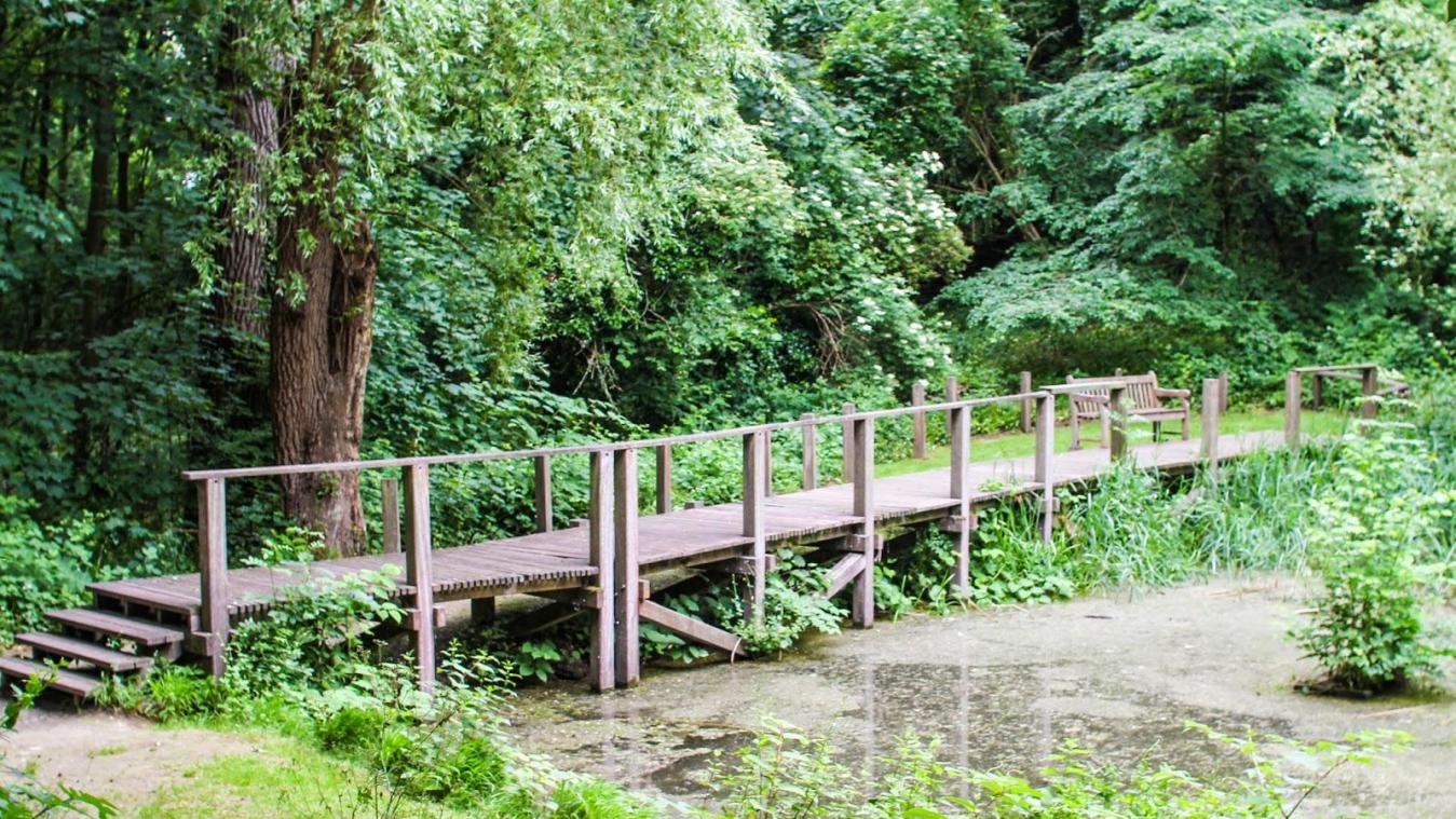 Rando nature dans la vallée du Molenbeek – Carrefour européen